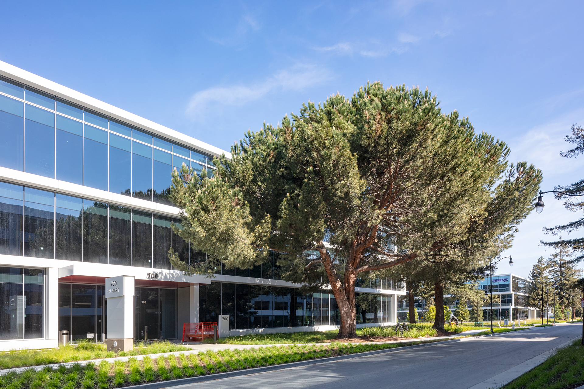 How Irvine Company Preserved 250 Mature Trees at Silicon Valley’s ...