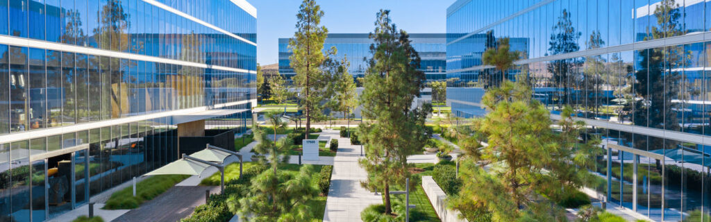 How Irvine Company Preserved 250 Mature Trees at Silicon Valley’s ...